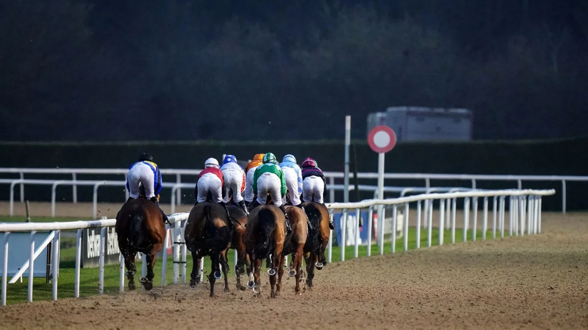 Salı Sky Sports Racing'de Newcastle, Southwell ve Wolverhampton Canlı Yarış