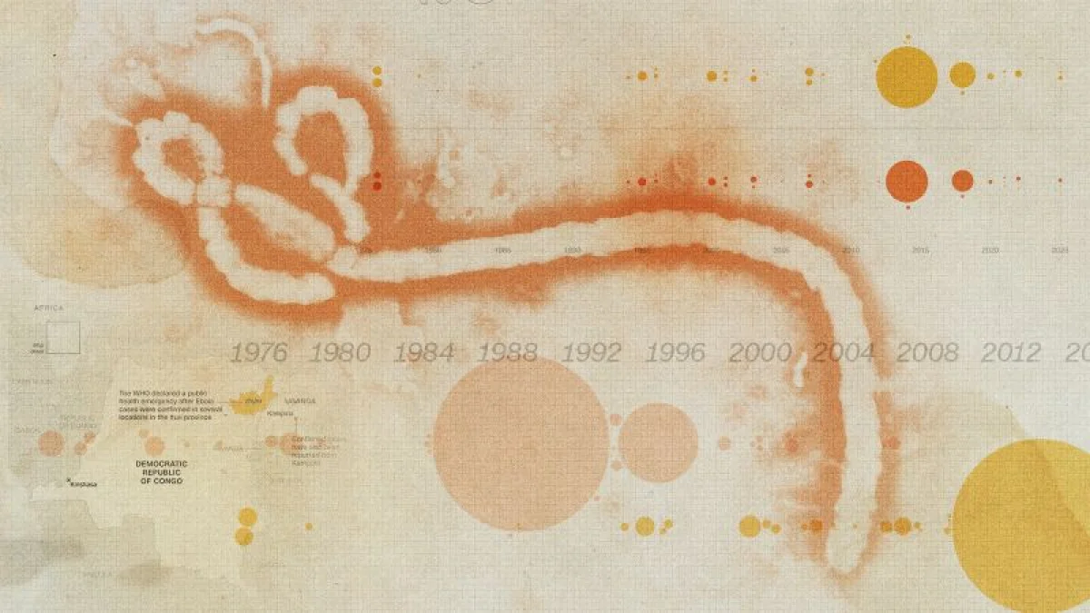WHO, Ebola Salgınını Acil Durum İlan Etti